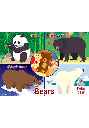 Early Years Themes Posters: Animals | General | Preschool, Junior ...