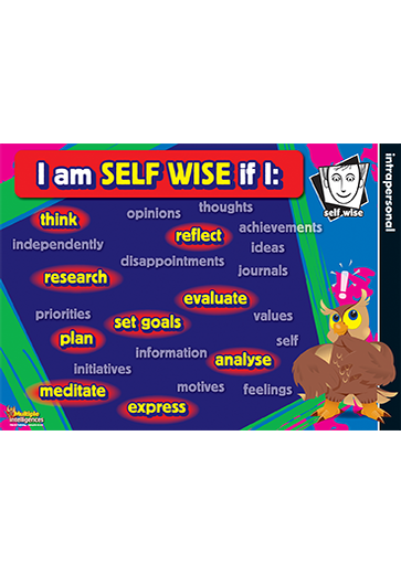 Multiple Intelligences Posters | General | 1st Class, 2nd Class, 3rd ...