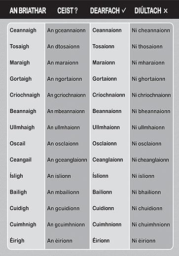 Irish Vocabulary Posters: Rang 5/6 | Irish | 5th Class, 6th Class