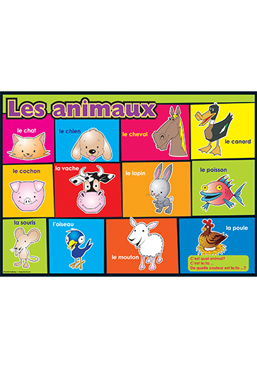 French Vocabulary Posters | General | 1st Class, 2nd Class, 3rd Class ...