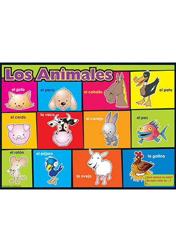 Spanish Vocabulary Posters | 1st Class, 2nd Class, 3rd Class, 4th Class ...
