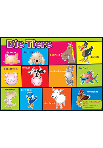 German Vocabulary Posters | Prim-Ed Publishing