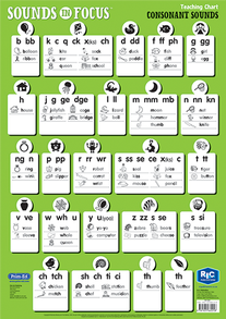 Sounds in Focus: Teaching Charts | English | 1st Class, 2nd Class, 3rd ...