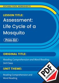 Assessment: Life Cycle of a Mosquito | English | 3rd Class