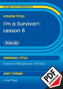 I'm a Survivor!: Lesson 6 | SESE | 6th Class