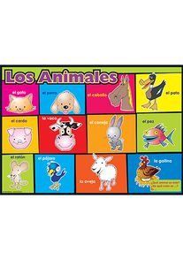 Spanish Vocabulary Posters | 1st Class, 2nd Class, 3rd Class, 4th Class ...